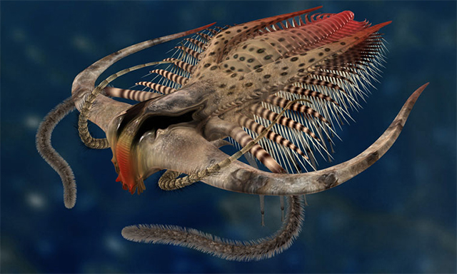 Las causas de la explosión cámbrica